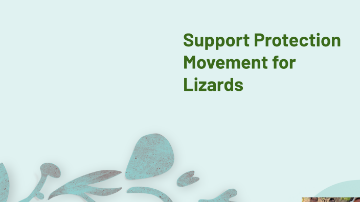 Support Protection Movement for Lizards by nathan viramontes on Prezi