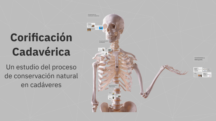 Corificación Cadavérica by Vanessa Mendiola on Prezi