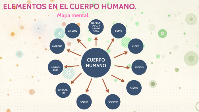 Elementos en el cuerpo humano. by Rubi Zazueta on Prezi