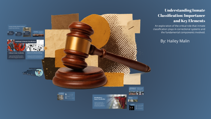 CT1_Malin- Understanding Inmate Classification: Importance and Key ...