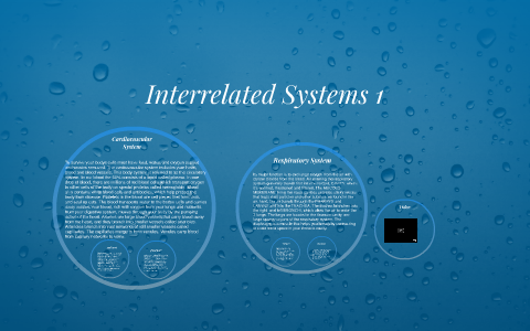Interrelated Systems 1 by Angelita De los Reyes on Prezi