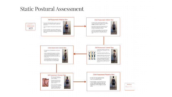 Static Postural Assessment by Courtney Shaw on Prezi