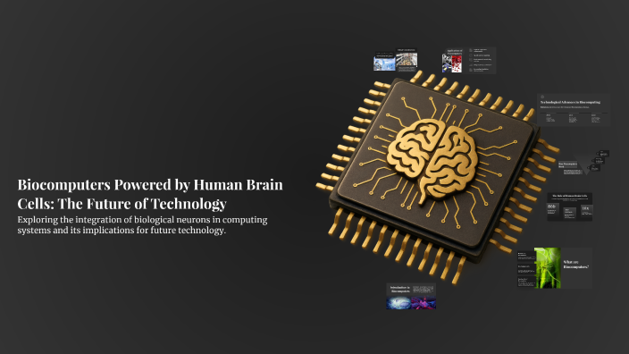 Biocomputers Powered by Human Brain Cells: The Future of Technology by ...