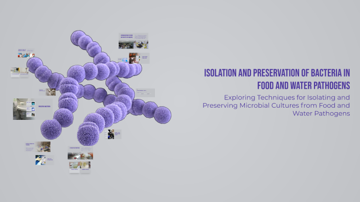 Isolation and Preservation of Bacteria in Food and Water Pathogens by ...