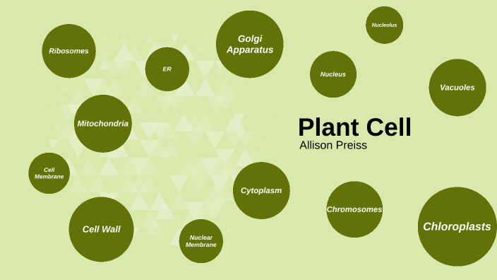 Cell Model Tour by Allison Preiss on Prezi