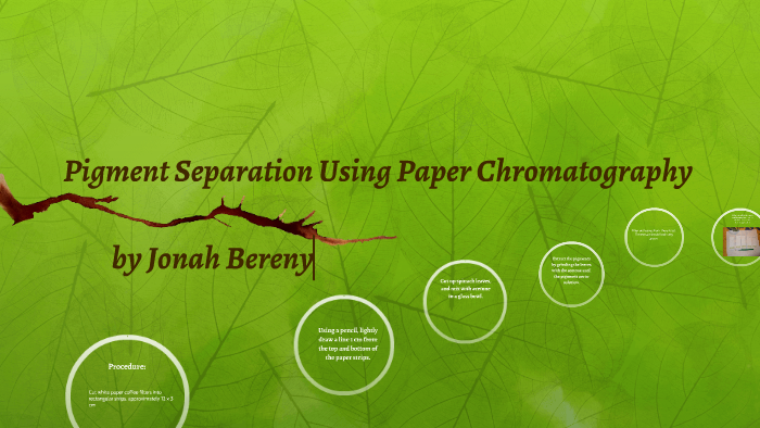 Pigment Separation Using Paper Chromatography by Jonah Bereny on Prezi