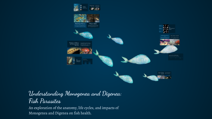 Understanding Monogenea and Digenea: Fish Parasites by Basmala Alsafy ...