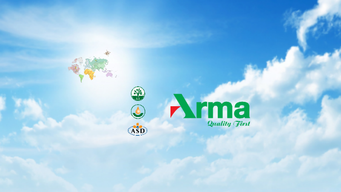 ARMA - Egypt by Ahmed Fahim on Prezi