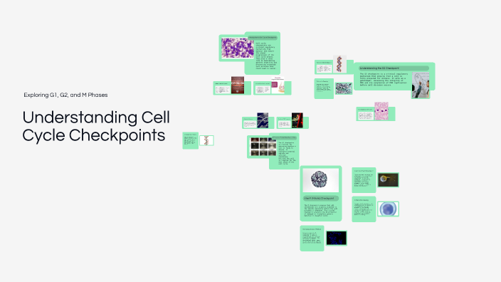 Understanding Cell Cycle Checkpoints by Isabella Martinez on Prezi