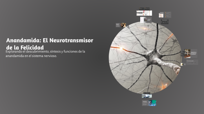 Anandamida: El Neurotransmisor de la Felicidad by BRYAN ALEXANDER VELEZ ...