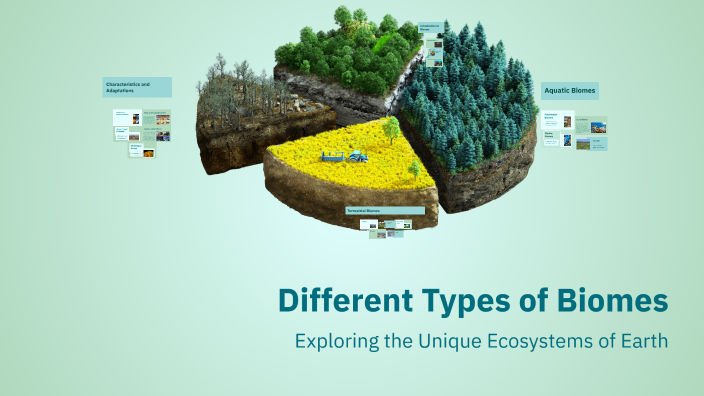 Different Types of Biomes by Paul Silva on Prezi