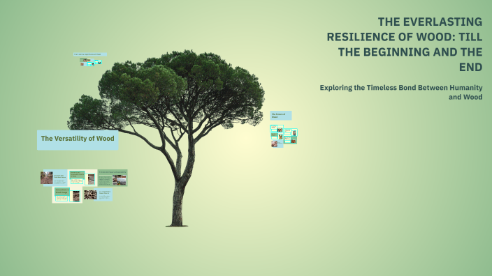 THE EVERLASTING RESILIENCE OF WOOD: TILL THE BEGINNING AND THE END by ...