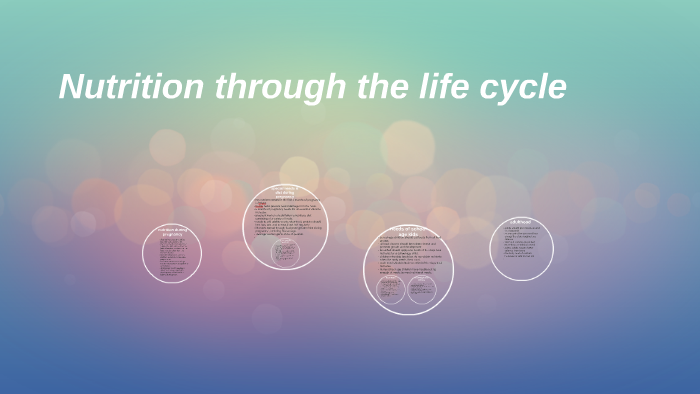 Nutrition through the life cycle by heidi mcclure on Prezi