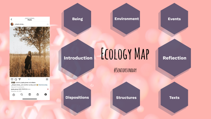 Ecology Map by Shayla Douglas-Myers on Prezi
