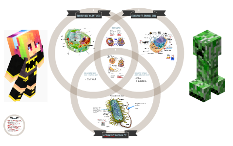 Minecraft Cell Tour by Rachel Utomo on Prezi