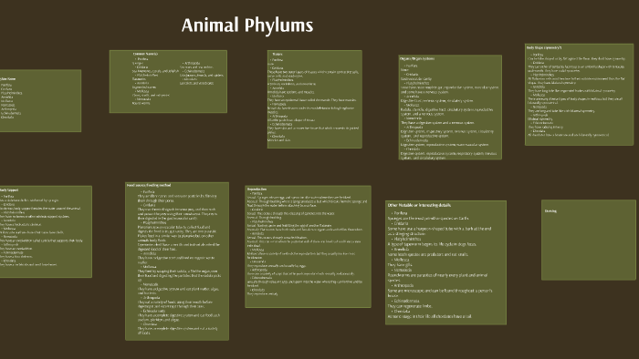 Phylum Name by Sundre Winslow on Prezi