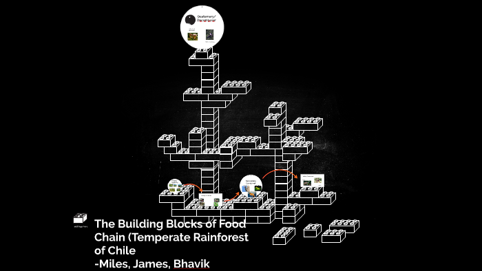 The Building Blocks of Food Chain by bhavik singh on Prezi