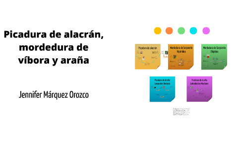 Picadura de alacrán, mordedura de by Jenvy MO on Prezi