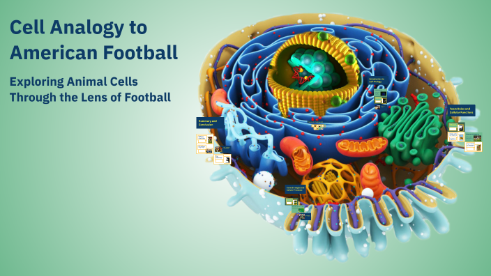Cell Analogy to American Football by Aiden Means on Prezi