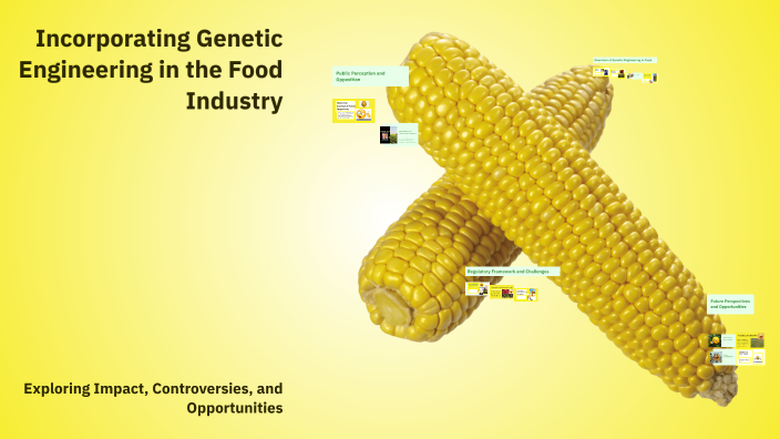 Incorporating Genetic Engineering in the Food Industry by sebastian ...