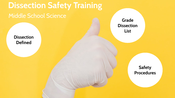 Dissection Safety Training by Catlin Carrico on Prezi