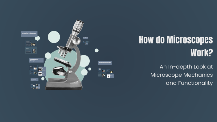 How do Microscopes Work? by aust5980 aust5980 on Prezi
