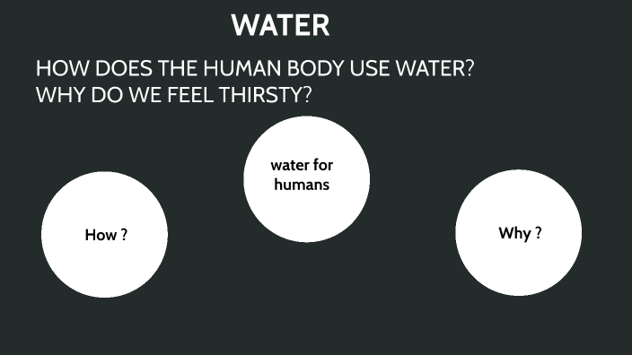 How Does The Human Body Use Water Why Do We Feel Thirsty By Loubna Mokhtar how-does-the-human-body-use-water-why-do-we-feel-thirsty-by-loubna-mokhtar