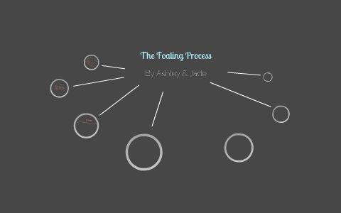 The Foaling Process by Ashley Ziemann on Prezi