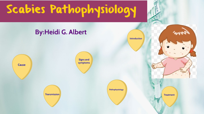 Scabies Pathophysiology by Heidi Albert on Prezi