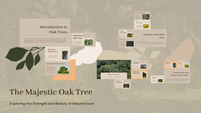 The Majestic Oak Tree by Greeti Chacko on Prezi
