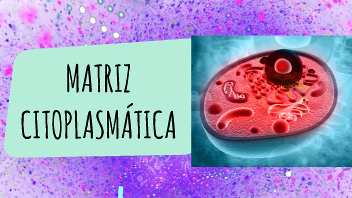 MATRIZ CITOPLASMÁTICA by KARLA XIOMARA AGUILAR MORENO on Prezi