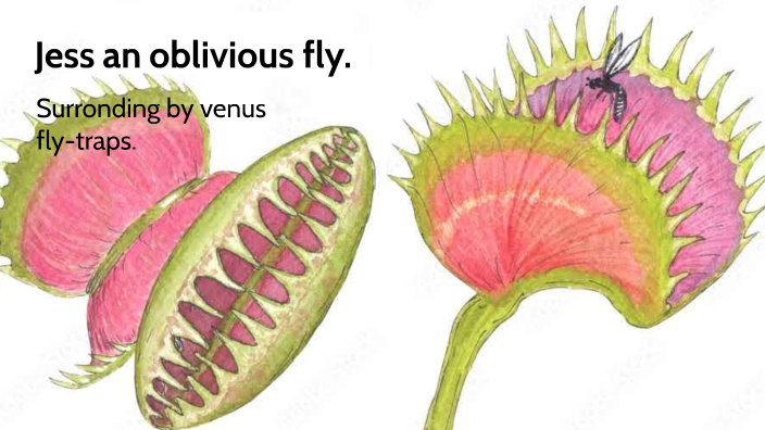 Jess Character Analysis by Gwendolyn Young on Prezi