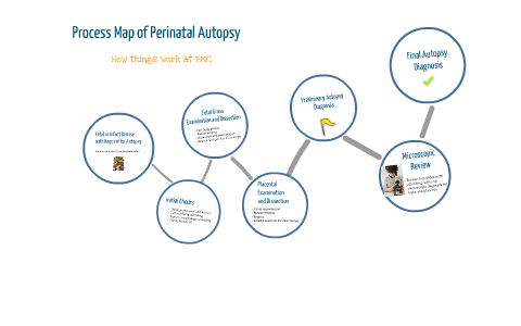 Perinatal Autopsy Process by Jeremy Lapedis on Prezi