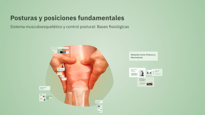 Posturas y posiciones fundamentales by Paul Bustamante on Prezi