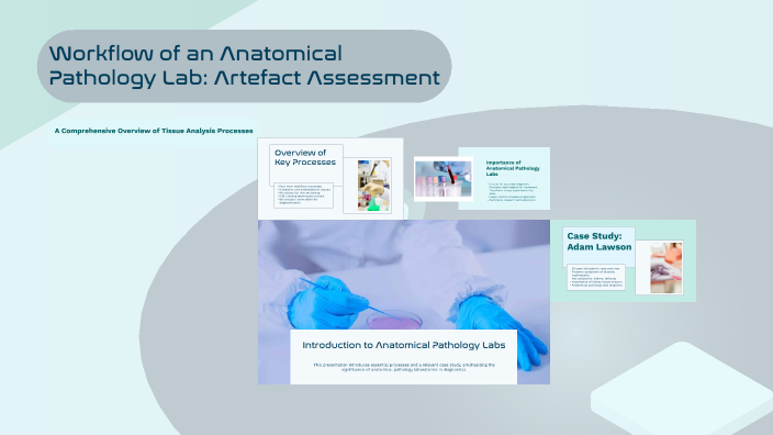 Workflow of an Anatomical Pathology Lab: Artefact Assessment by Ayanda ...