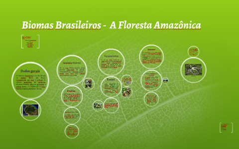Biomas Brasileiros: A Floresta Amazônica by Bernardo Becker on Prezi