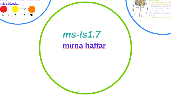 ms-ls1.7 by mike haffar on Prezi
