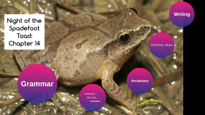 Chapter 14: Night of the Spadefoot Toad by Juliana Iavarone on Prezi