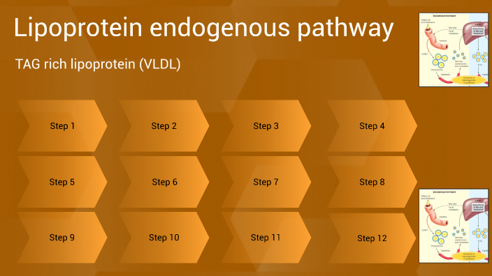 16 BCH3120 - Lipoprotein endogenous pathway by Nusrat Tazkia on Prezi