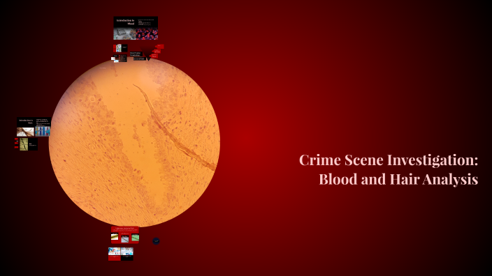 Crime Scene Investigation: Blood and Hair Analysis by Sabrina Blevins ...