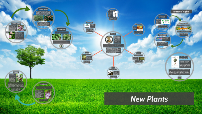 New Plants by Donna Riddle on Prezi