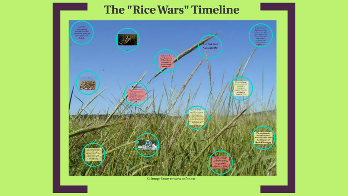 The "Rice Wars" Timeline by Andrea Dunkerley on Prezi