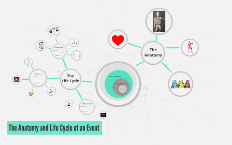 The Anatomy and Life Cycle of an Event by Abby White on Prezi