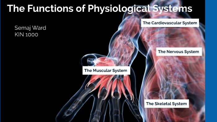 Functions of Physiological Systems by Semaj Ward on Prezi