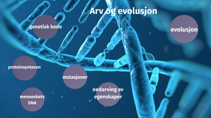 Evolusjon