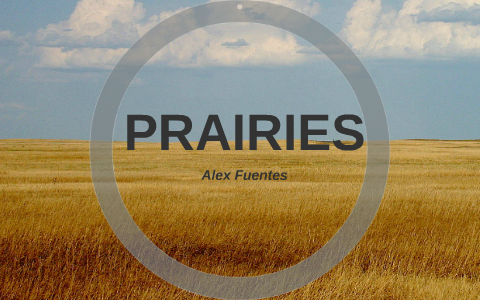 Ecozones: Prairies by Alex Fuentes on Prezi