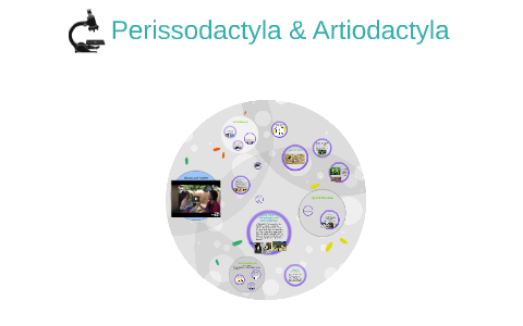 mammals and poop by Jacob Manansala on Prezi