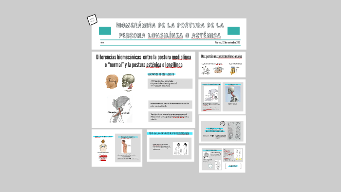 Biomecánica de la postura de una persona longilínea o asténi by Caty ...