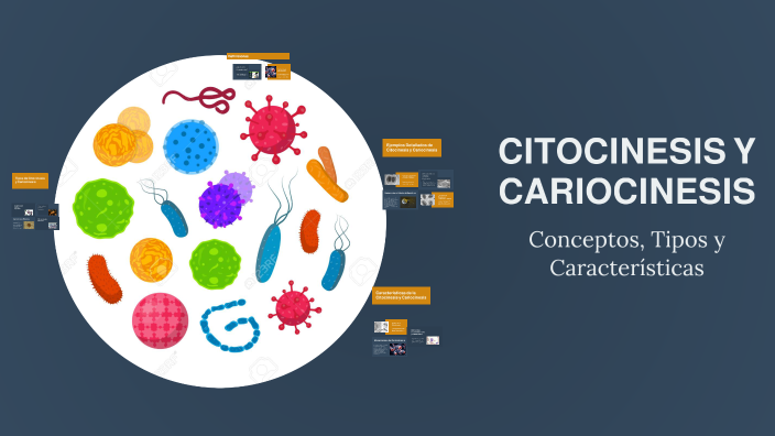 CITOCINESIS Y CARIOCINESIS by brigith huaman on Prezi