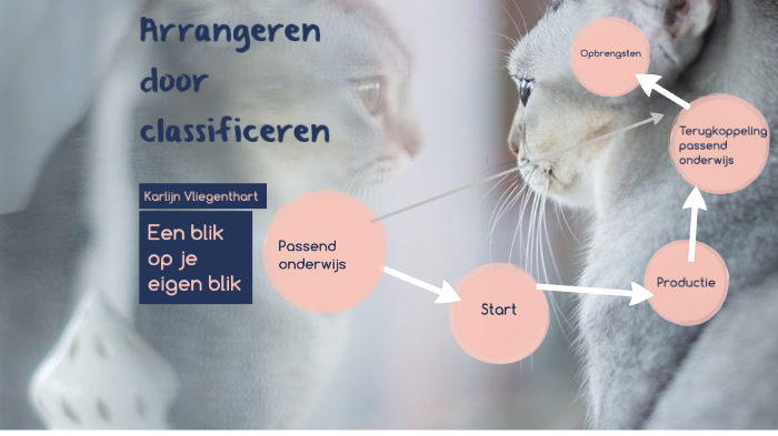 presentatie arrangeren door classificeren by Karlijn Vliegenthart on Prezi